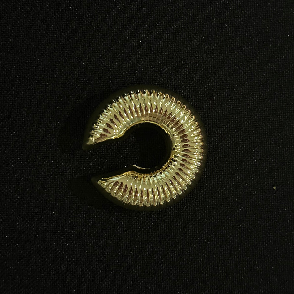 EARRINGS – Page 2 – CP STATEMENT